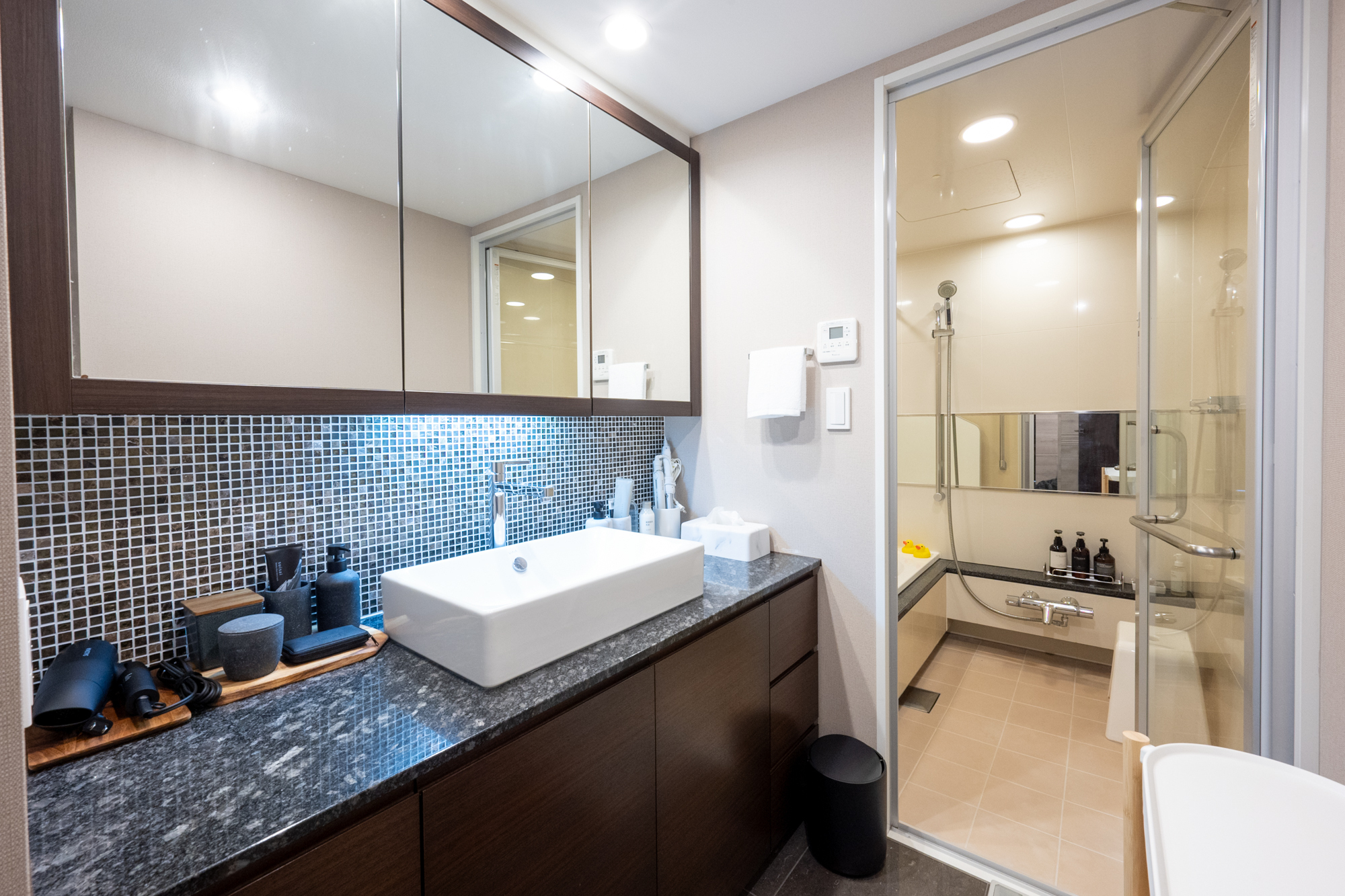 City Tower Shirokane #1703 / 2 Bedrooms Furnished Monthly Rental near ...